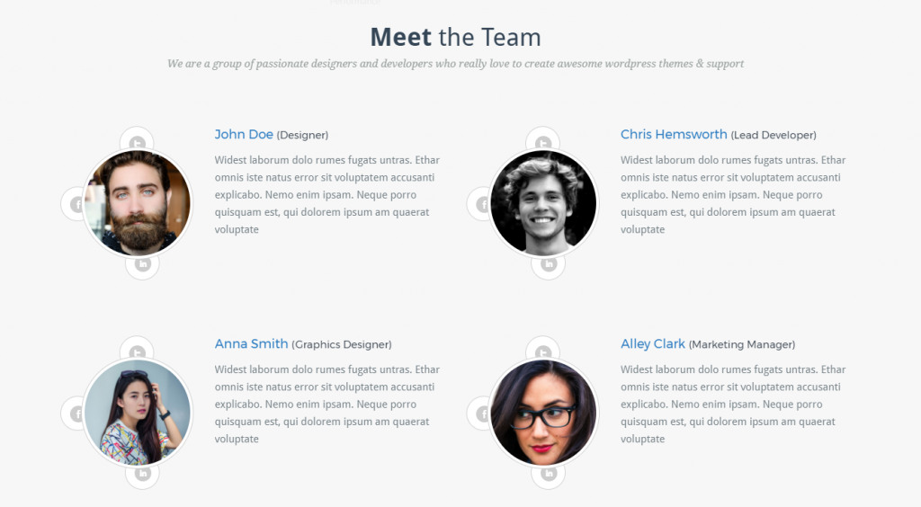 How to add Team in Busiprof Theme – Webriti Help Centre