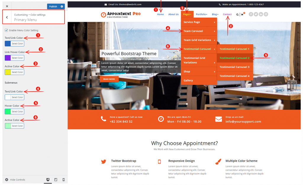 How to change the Colors in Appointment Pro – Webriti Help Centre
